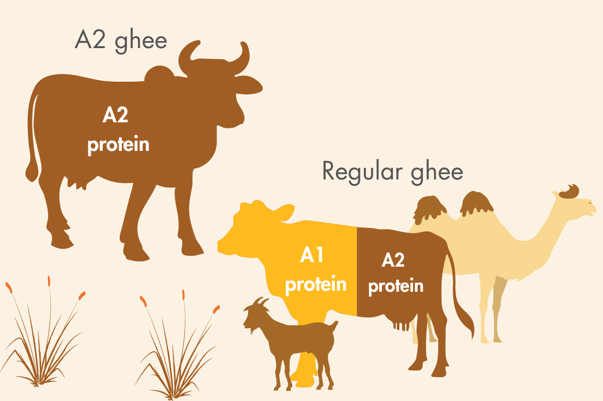 Buy A2 Cow Ghee, Bilona Ghee & Gir Cow Ghee Online – Advait Living